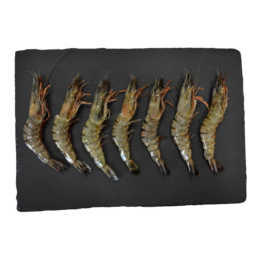 Black Tiger Shrimps Head-On Shell-On 20/30 | 21GourmetStreet.com