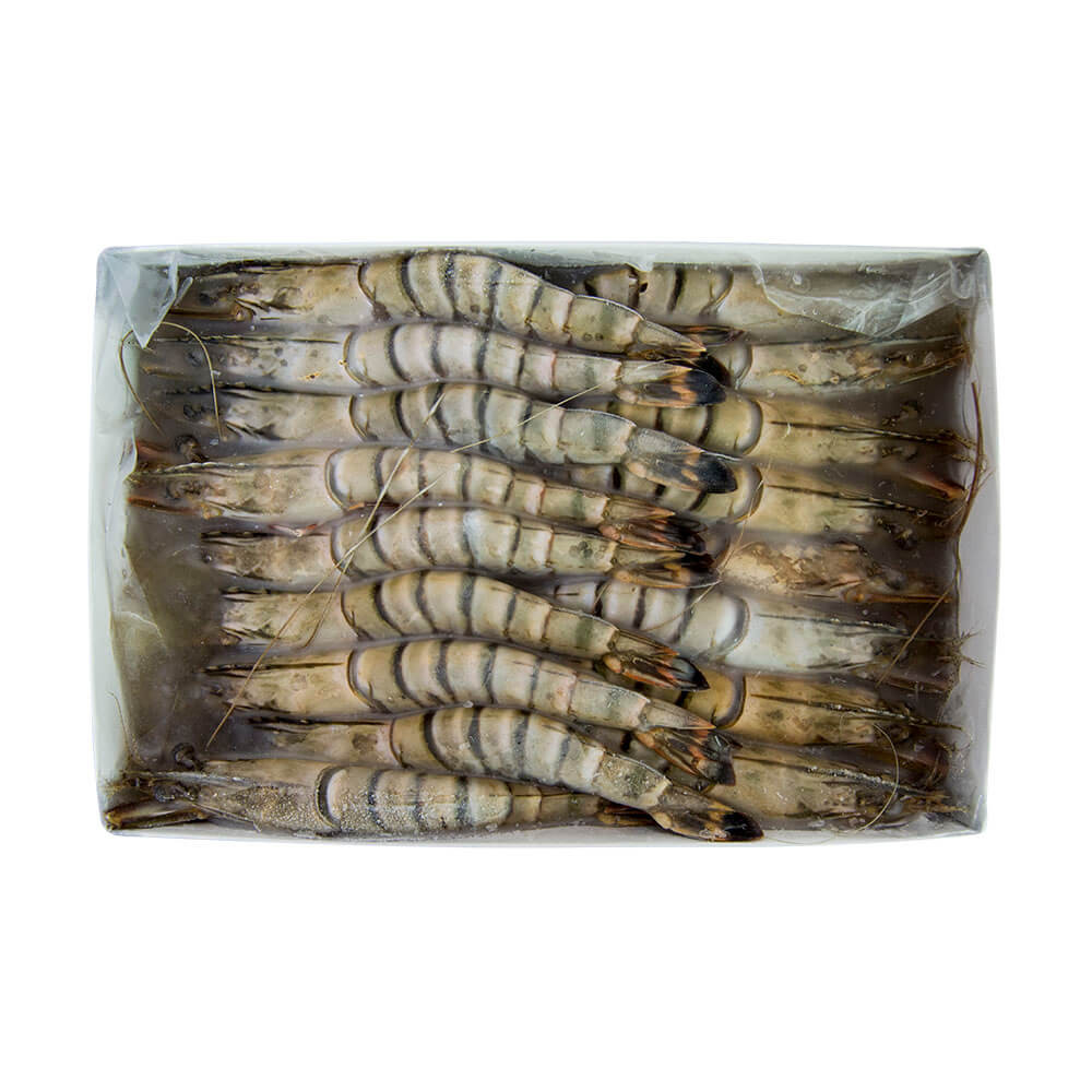 Black Tiger Shrimps Head-On Shell-On 10/20 | 21GourmetStreet.com