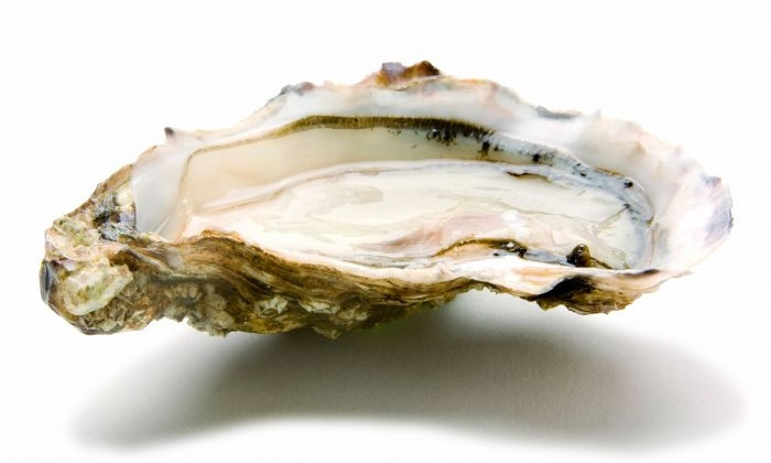 Seafood