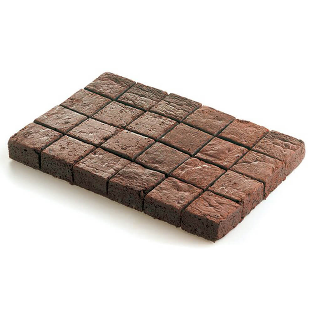 Panesco Double Chocolate Brownies 60g | 21GS