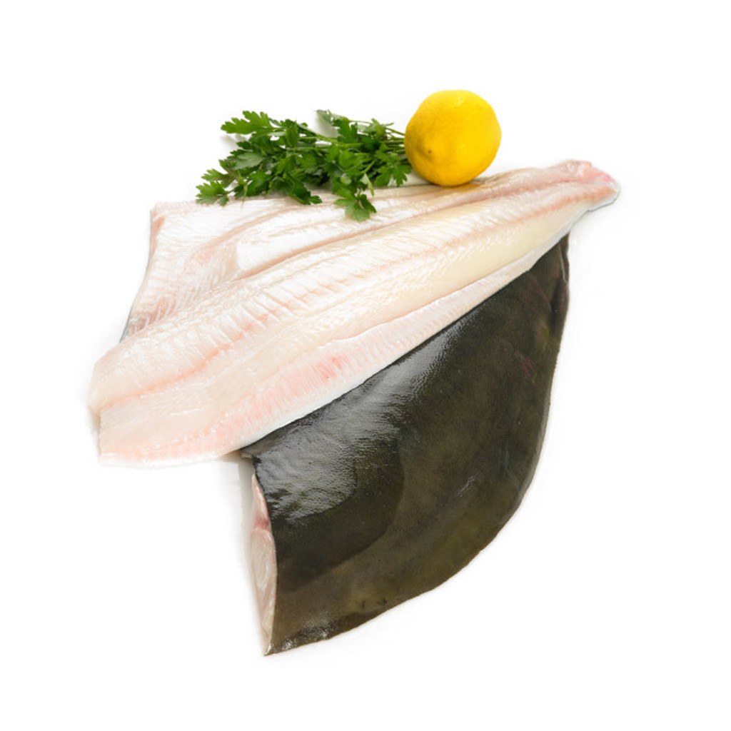 Turbot Fillet | 21GourmetStreet.com